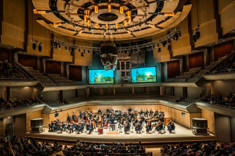 SCRUTIINY | The Orchestra Meets Wildlife In Dan Brown’s Wild Symphony