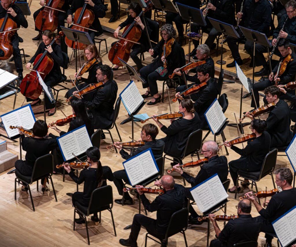 Hamilton Philharmonic Orchestra | Intimate & Immersive: The Five Senses ...